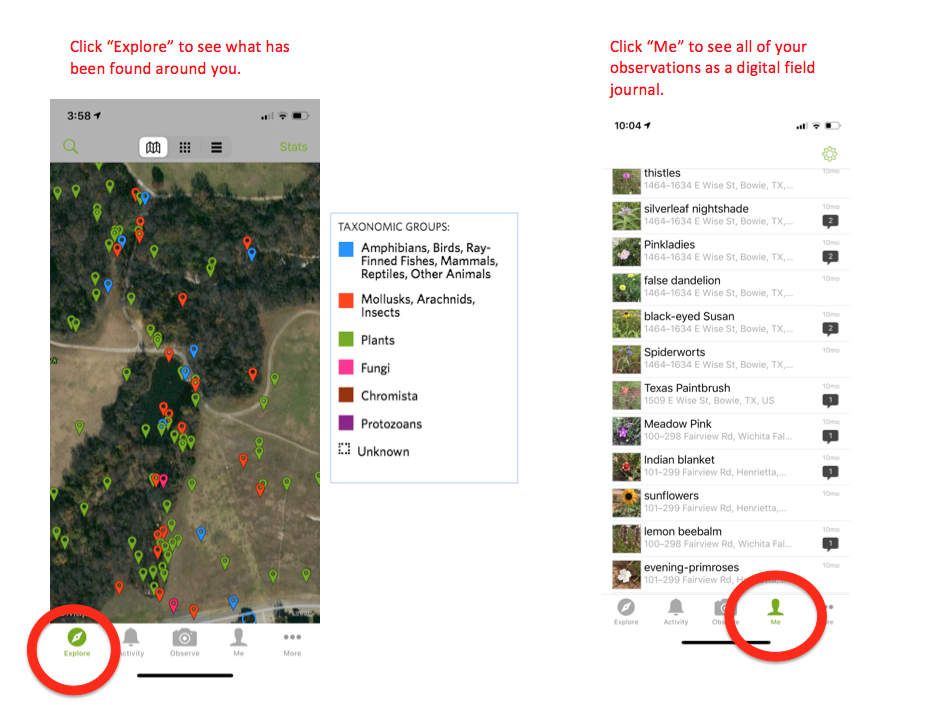 The Must-Have App for Exploring Outdoors